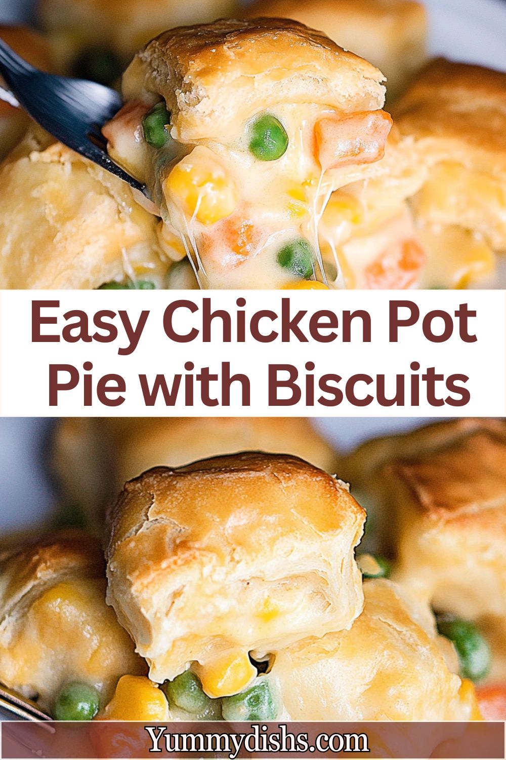 Chicken Pot Pie with Biscuits